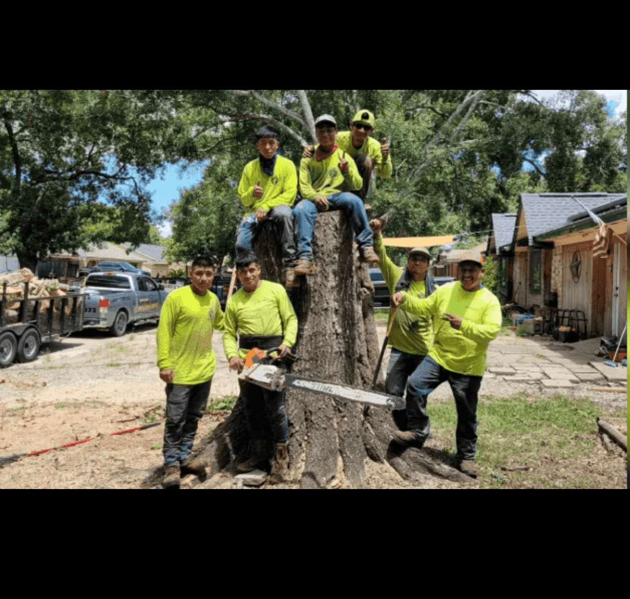 Boni Tree Service & Stump Grinding Offers Lawn Care Services in ...